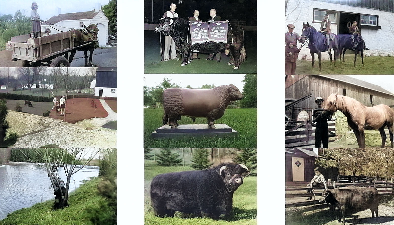 Scotsdale Farm 1938. Bennetts and their legendary breeds