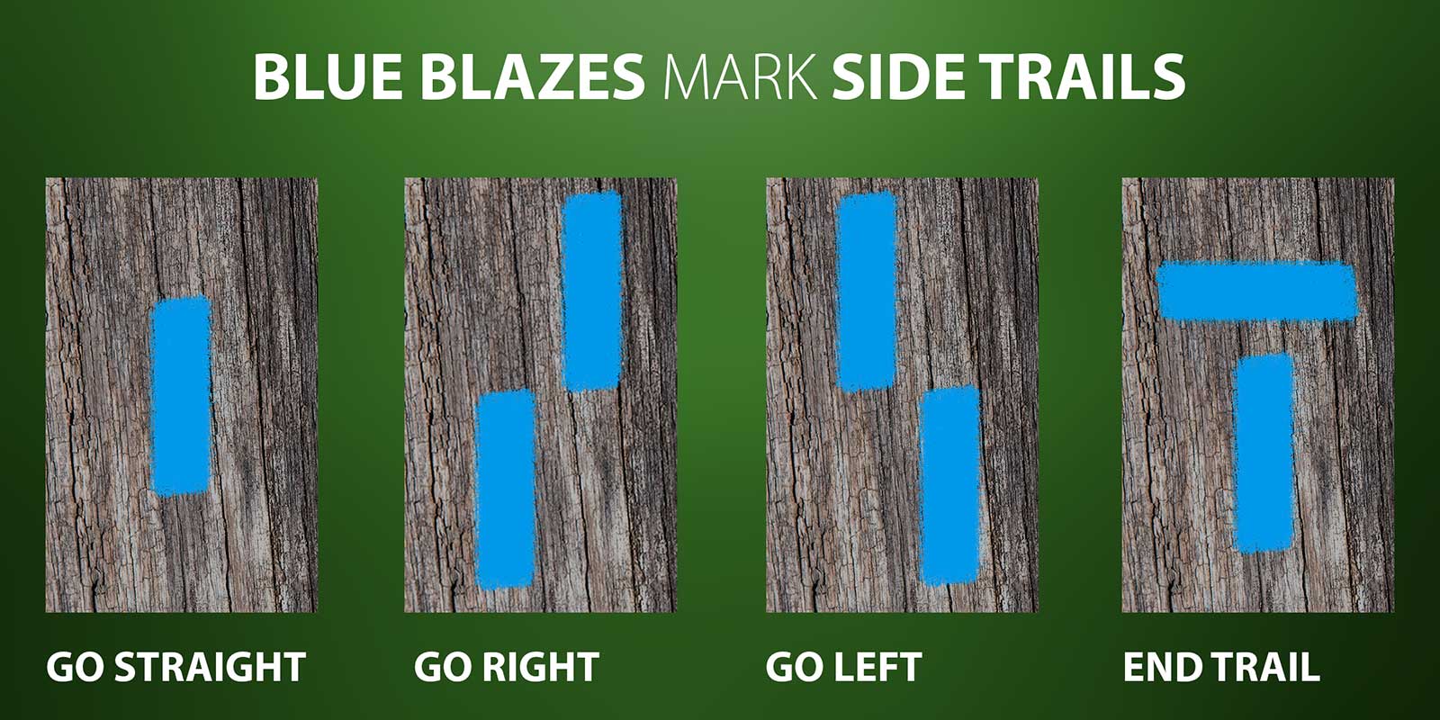 What blue and white blaze marks of the Bruce Trail mean?