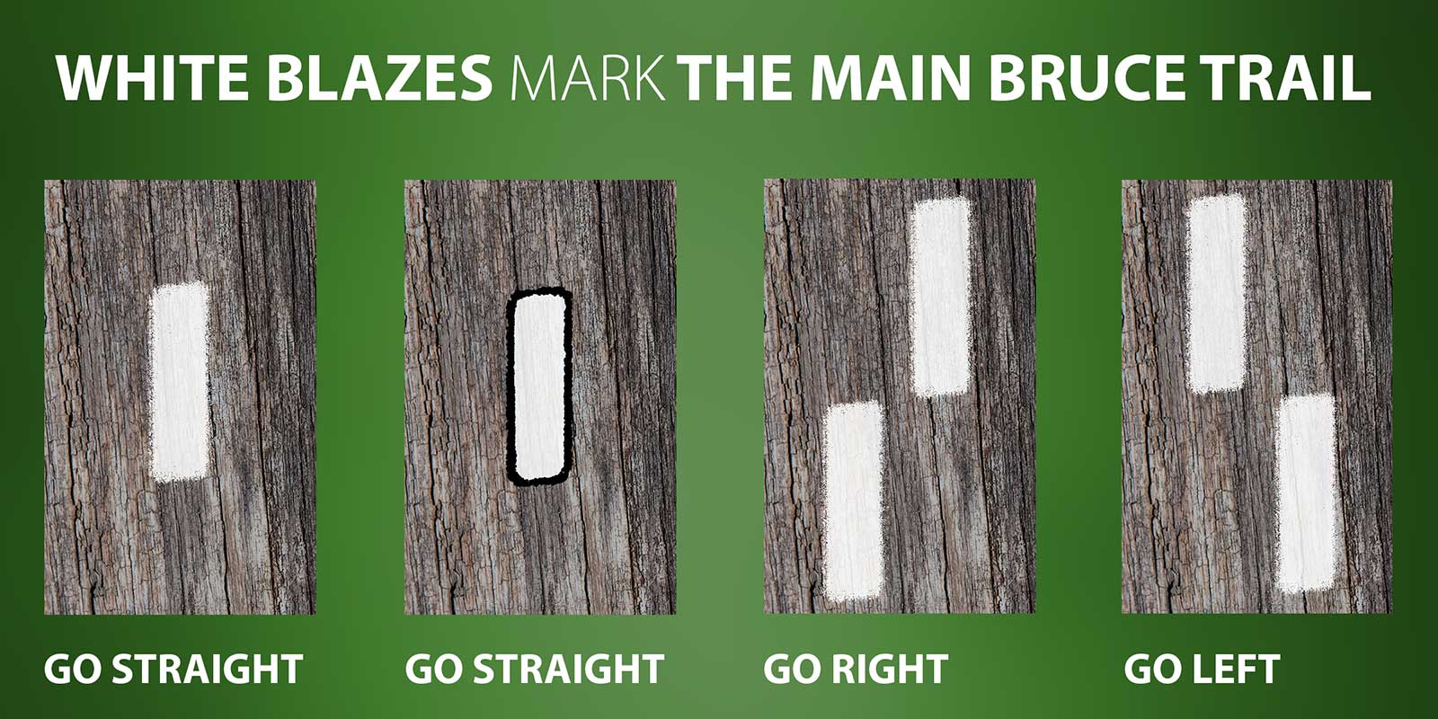 What blue and white blaze marks of the Bruce Trail mean?